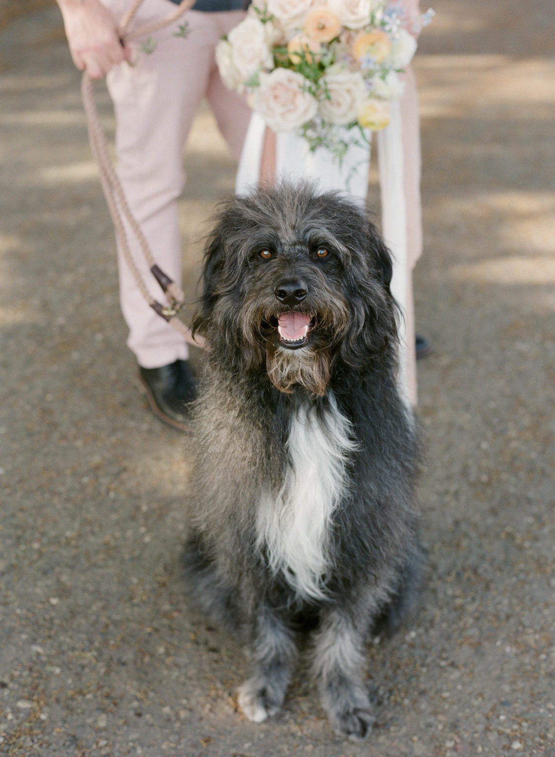 Anniversary by the Ocean | Ashley Noelle Edwards, LLC