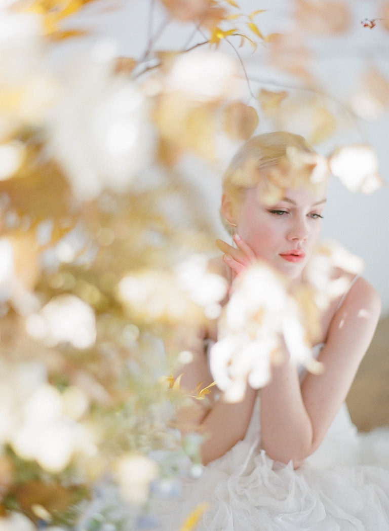 Golden Afternoon | Ashley Noelle Edwards, LLC